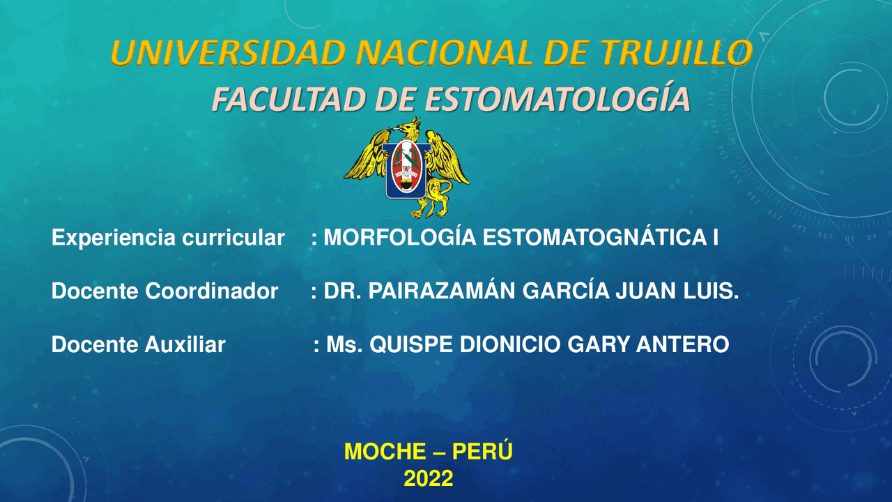 Sistema Estomatognático Docsity