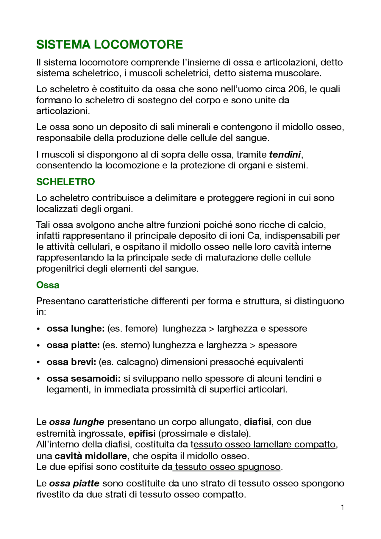 Anatomia Umana Farmacia Docsity