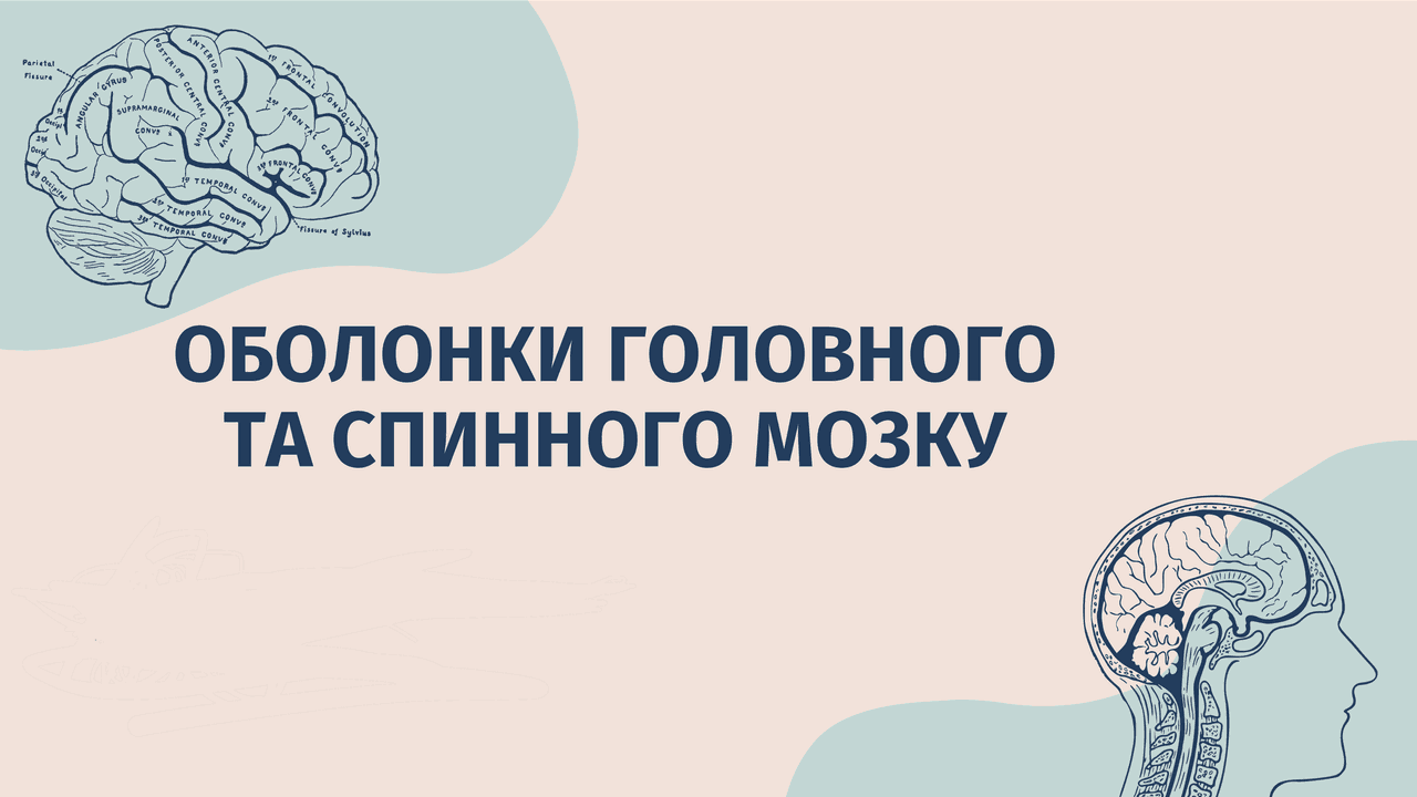 Презентація з неврології Docsity