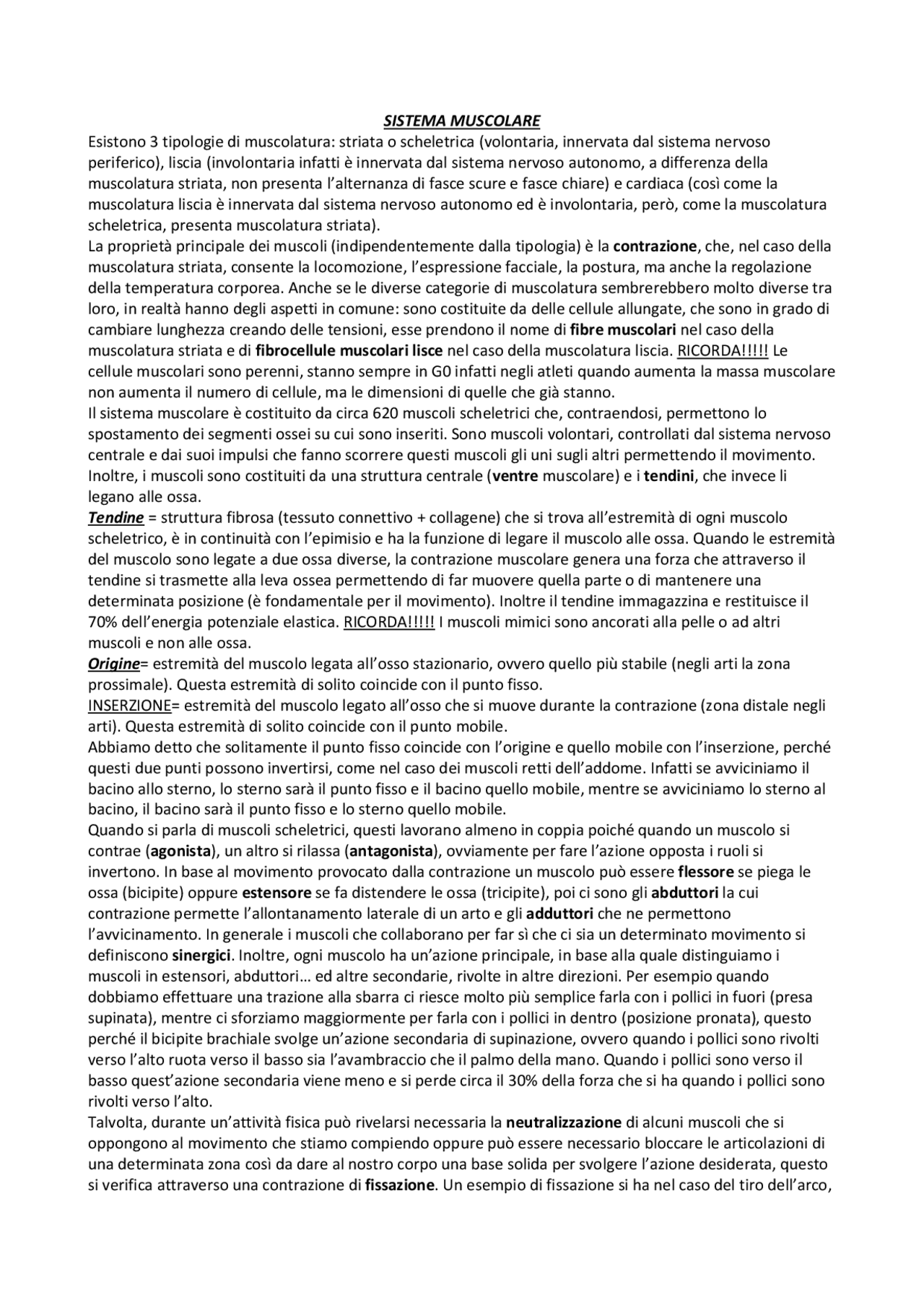 Sistema Muscolare Appunti Di Anatomia Docsity
