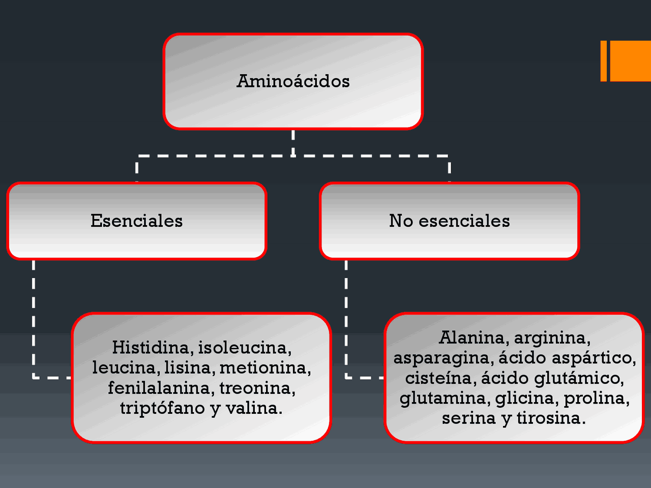 Clasificación aminoácidos | Esquemas y mapas conceptuales de Química ...