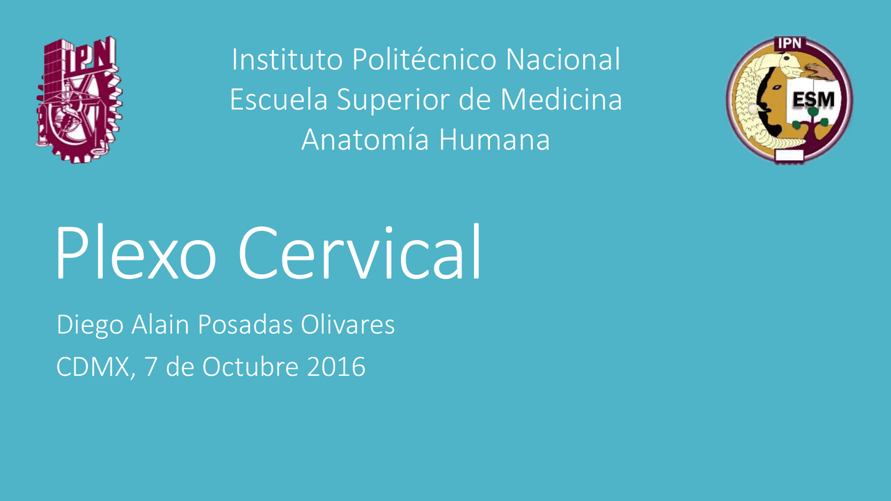 Generalidades del plexo cervical - Docsity