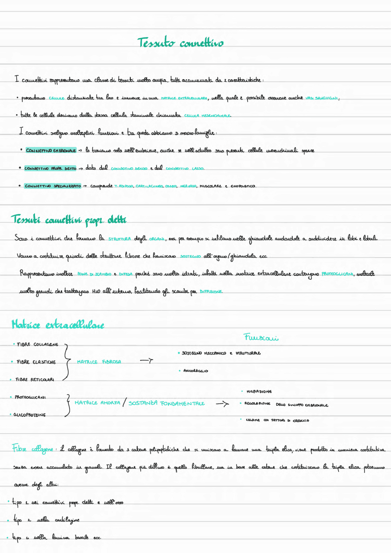 Istologia Tessuti Connettivi Docsity
