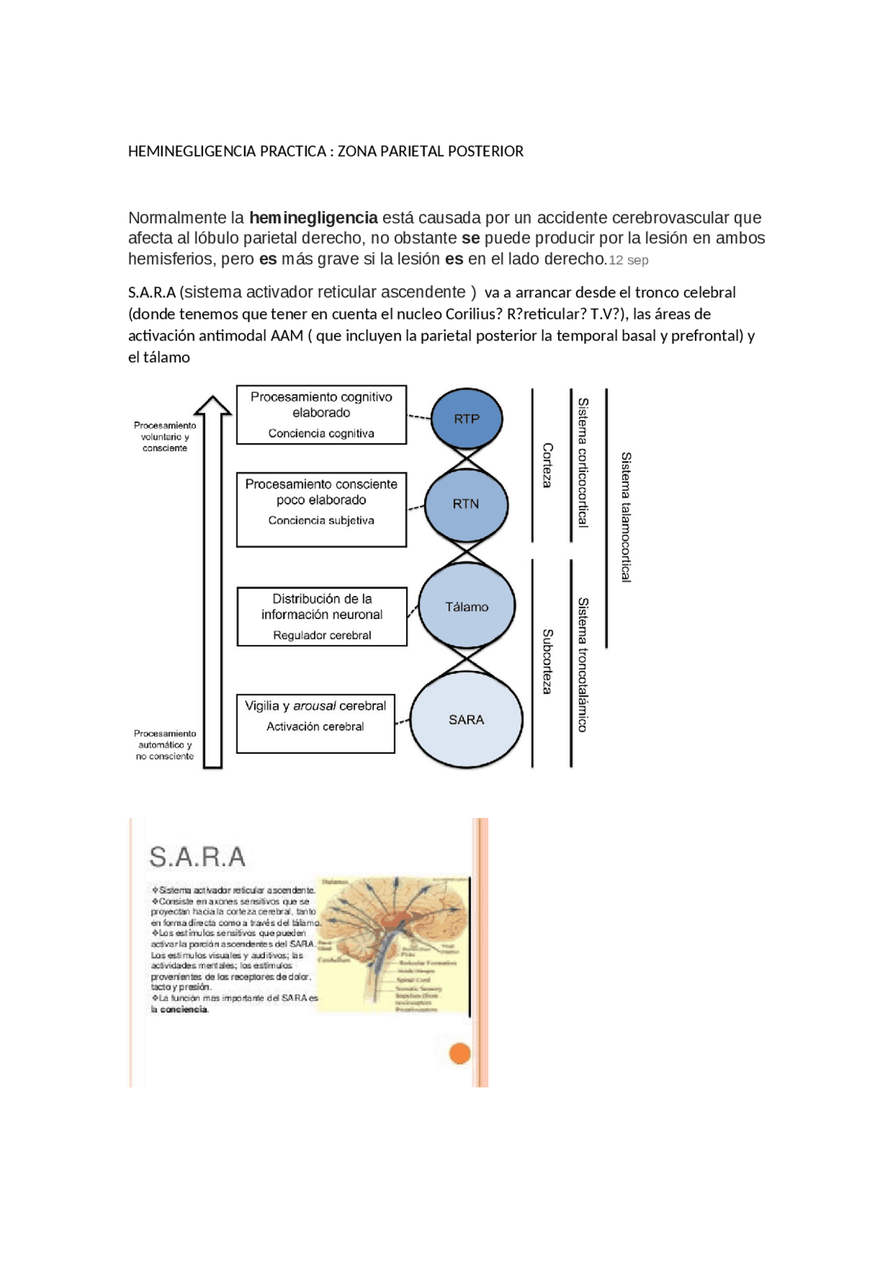 Practica Neurologia Docsity