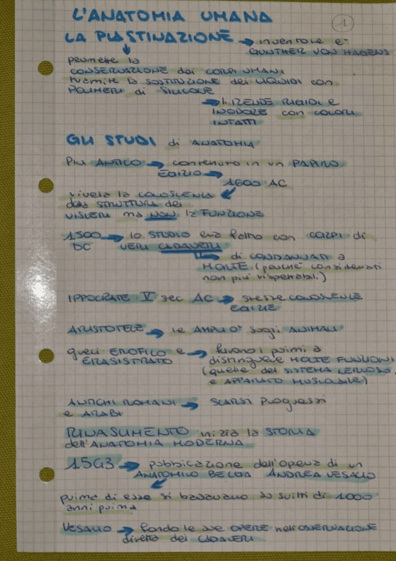 Anatomia Umana Introduzione Docsity
