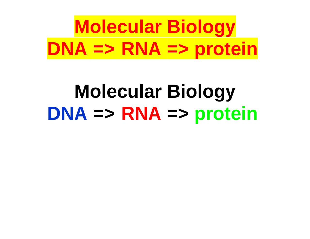 Molecular Biology DNA => RNA => protein - Docsity