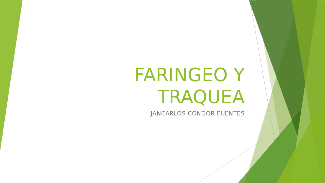 Faringeo Y Traquea Configuracion Externa Diapositivas De Anatomía