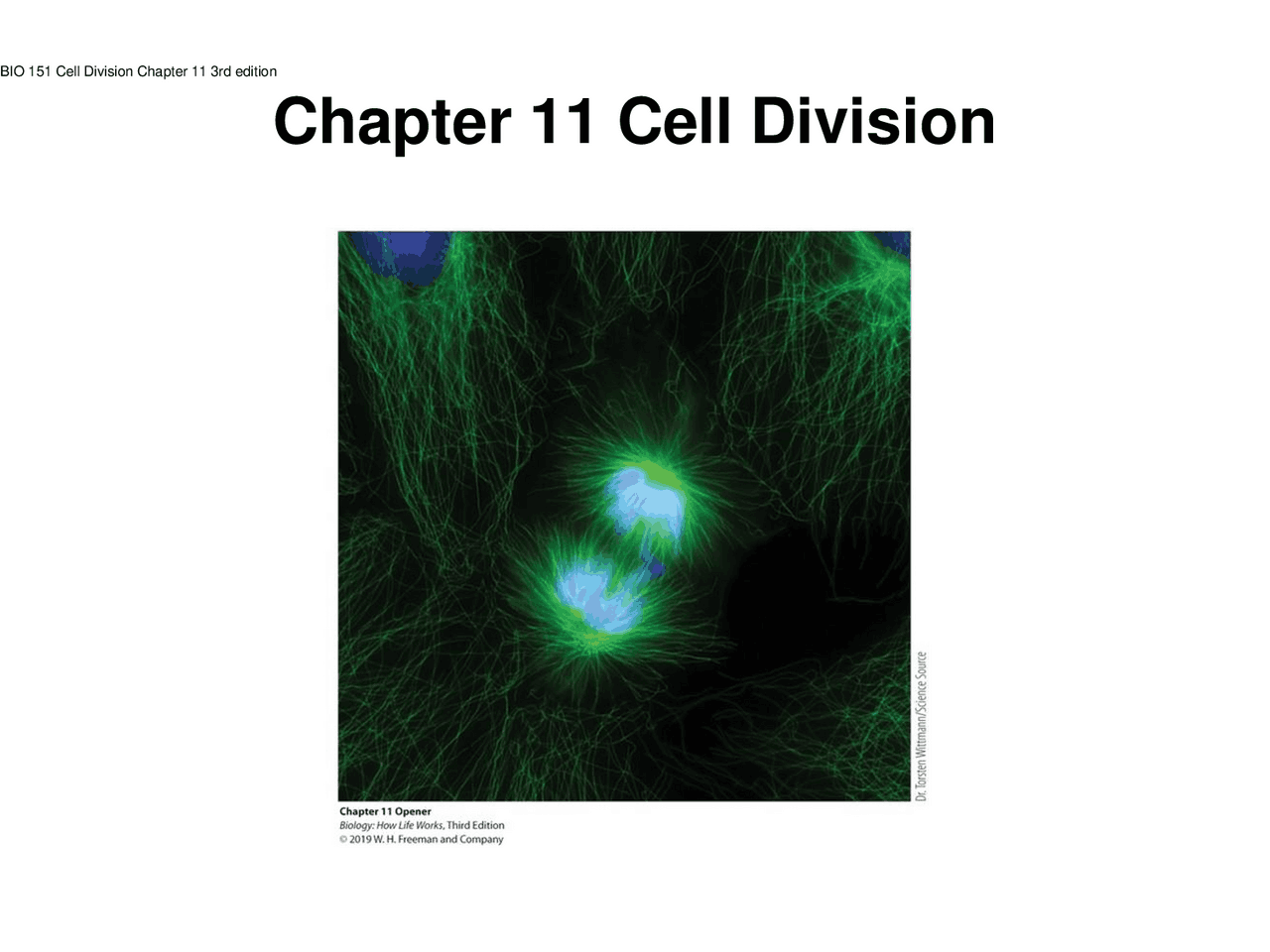 BIO 151 Cell Division Chapter 11 3rd edition Latest solution | Exams ...
