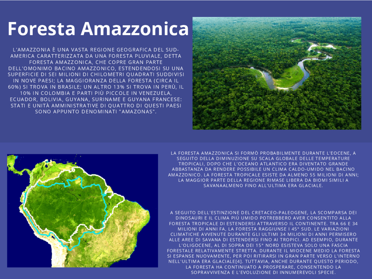 Mappa Fisica Della Foresta Amazzonica