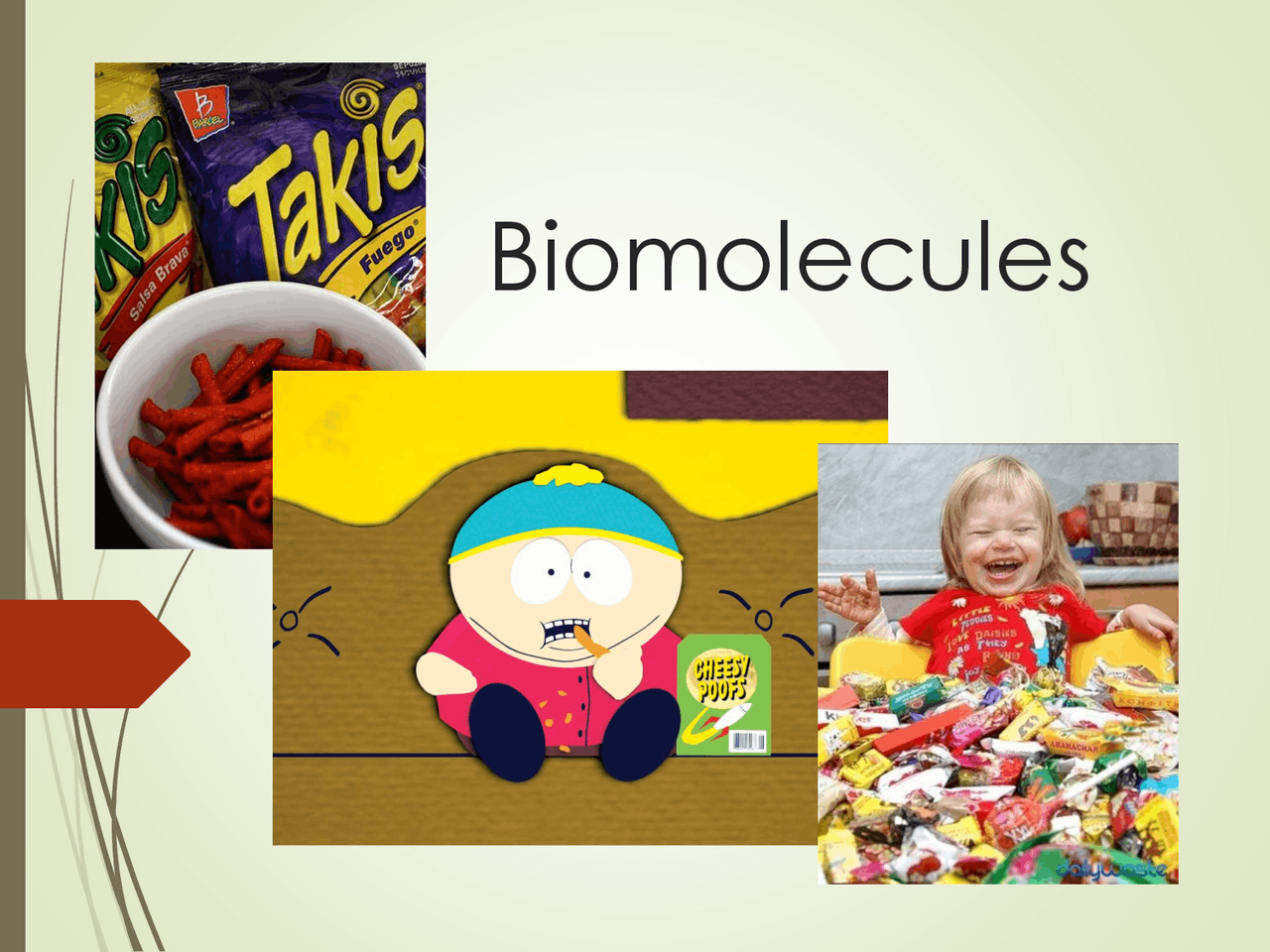 Biomolecules review: lipids, proteins and carbohydrates - Docsity
