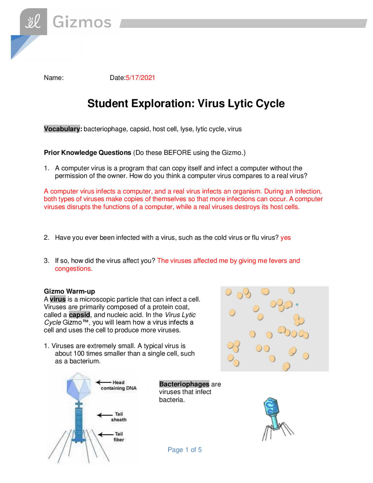 Gizmo_Virus_Lytic_Cycle_Student_Exploration_Sheet. | Exams Nursing | Docsity