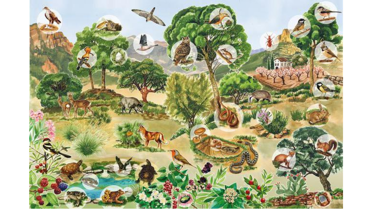 Interações Ecológicas: Tipos e Exemplos de Interações Intra- e ...