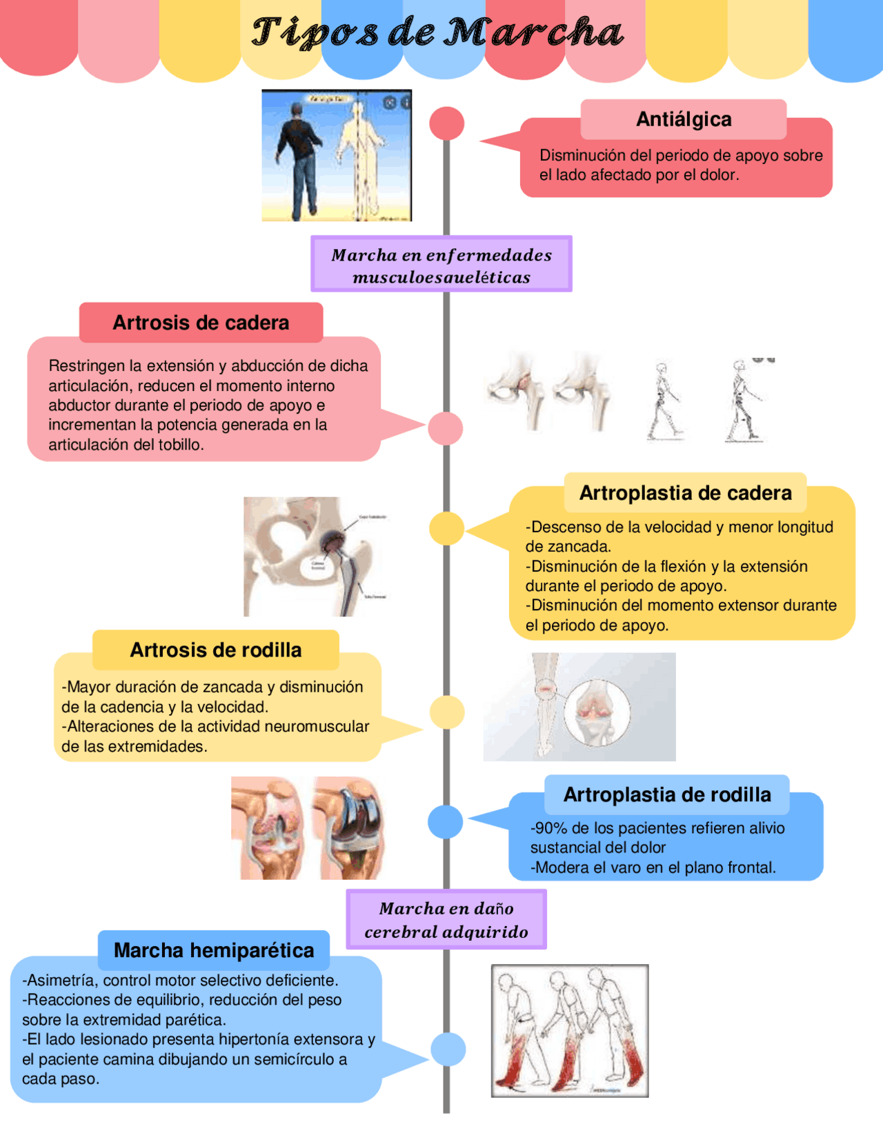 Tipos De Marcha En Fisioterapia Apuntes De Fisioterapia Docsity