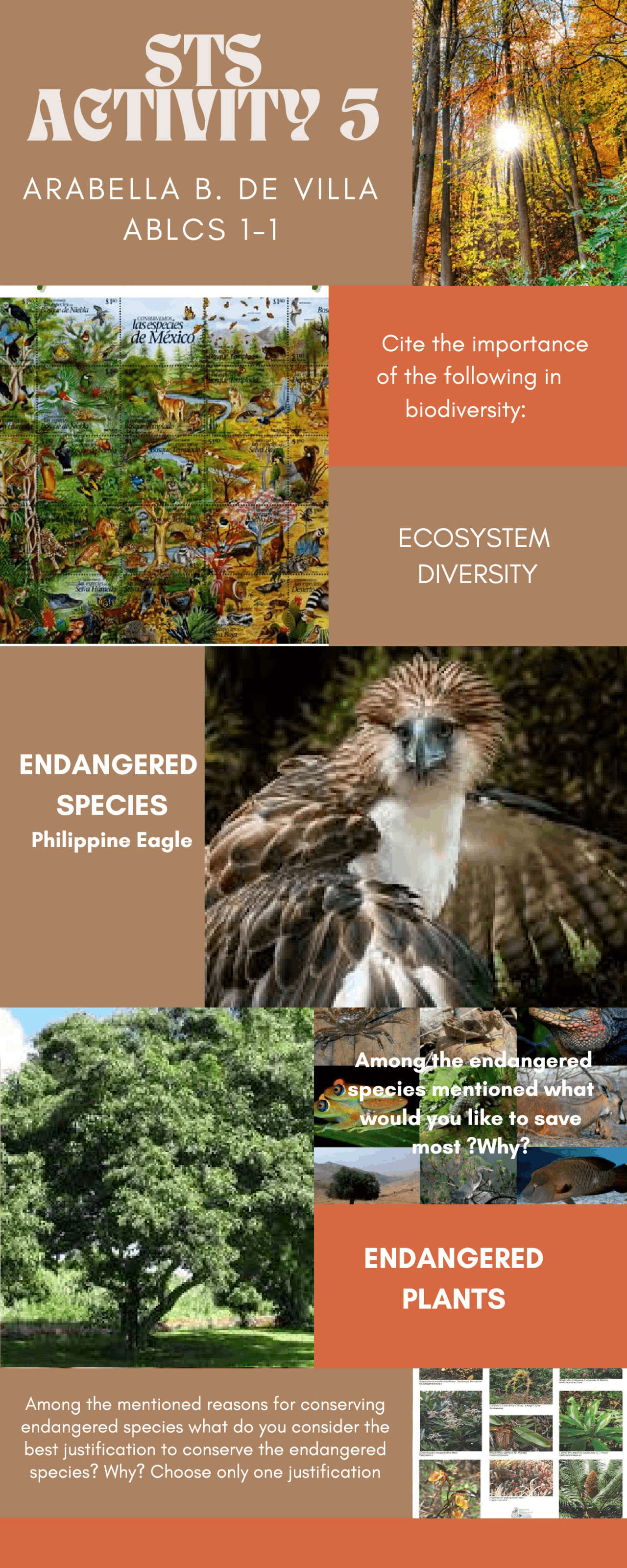 Random activities that may help you - Docsity