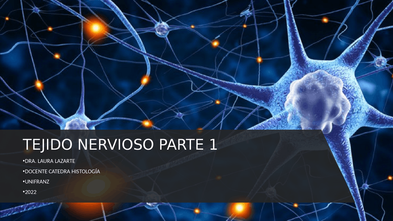 Tejido nervioso: Estructura y Función | Resúmenes de Histología | Docsity