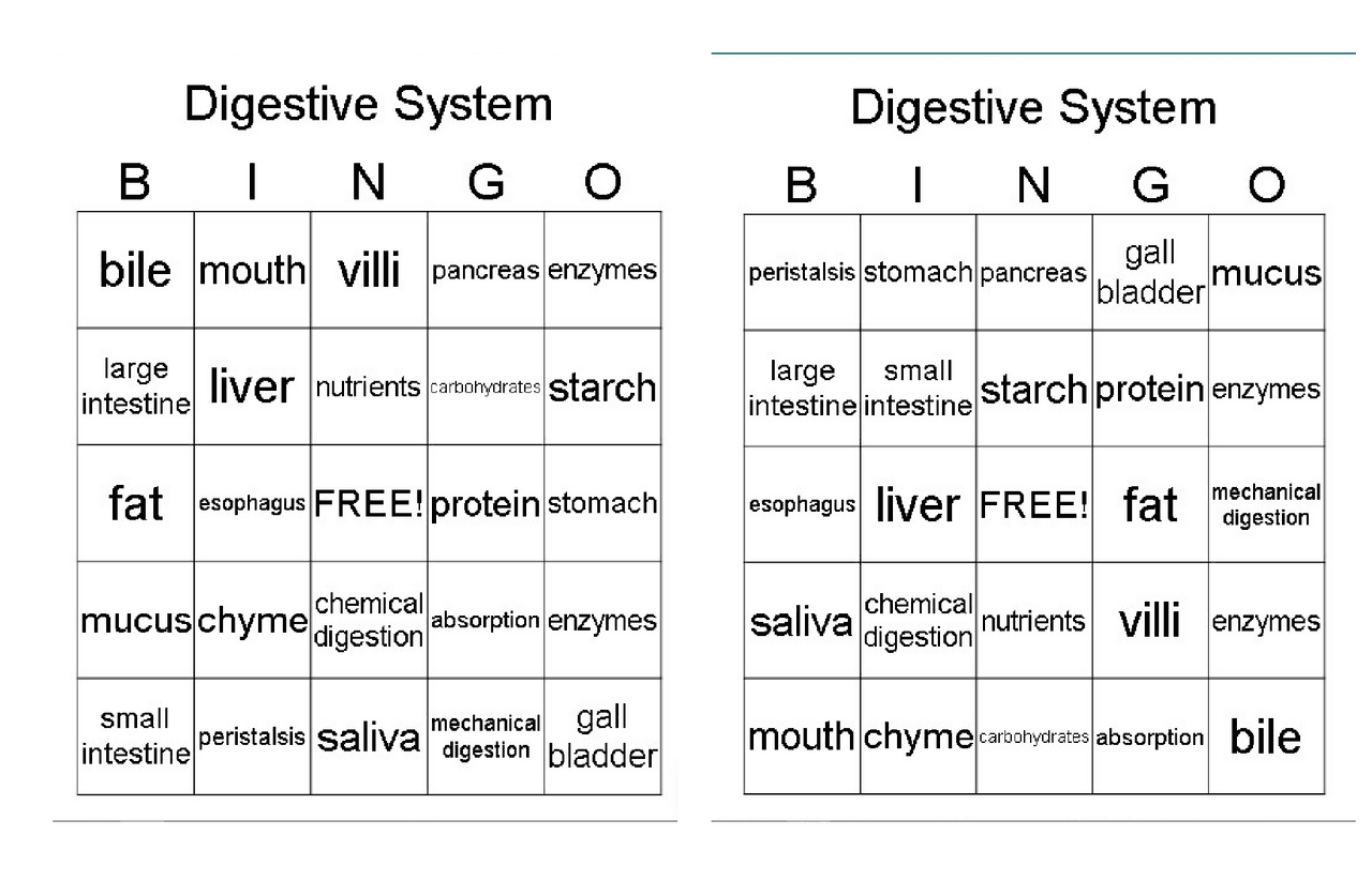 DIGESTIVE SYSTEM BINGO CARDS | Schemes and Mind Maps Earth science ...