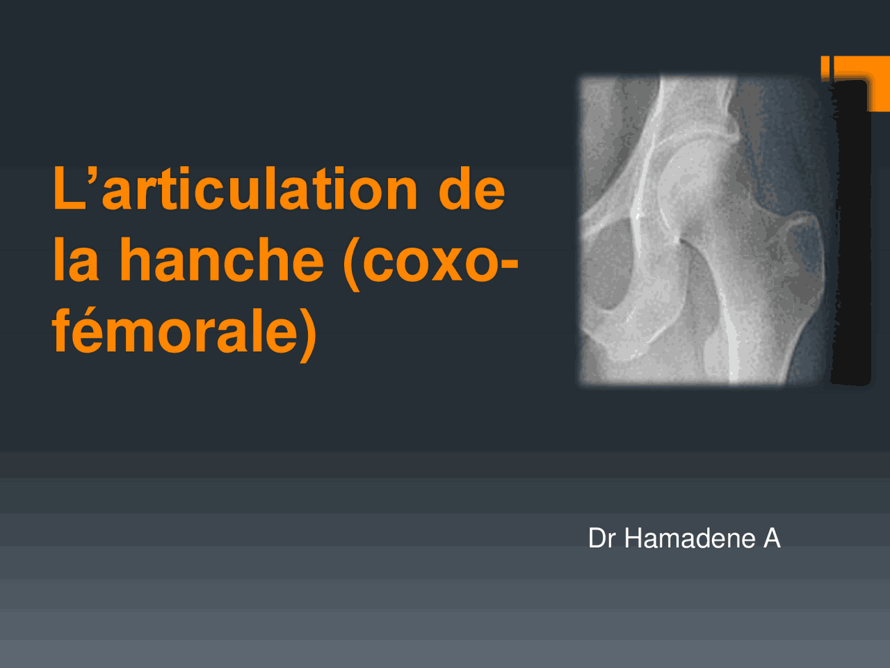 L'articulation de la hanche (coxo- fémorale) | Notes Nutrition | Docsity