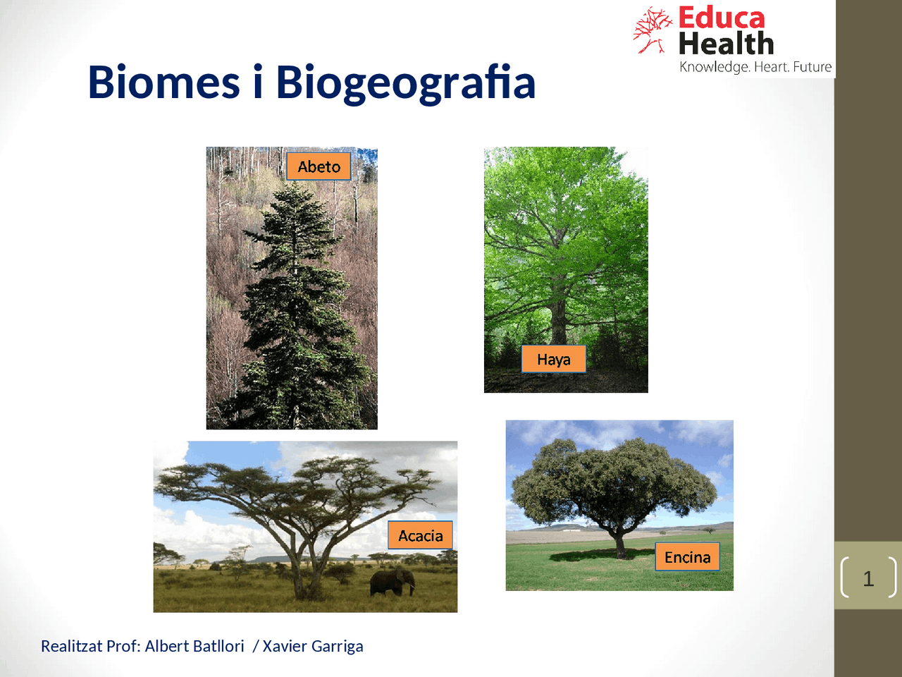 Biomas Selectividad Ecologia 2022 Apuntes De Biología Docsity
