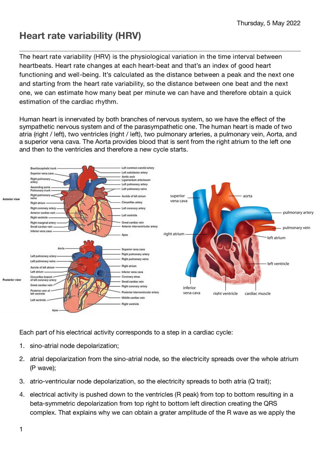 Heart Rate Variability (HRV) - Respiratory Sinus Arrhythmia (RSA ...