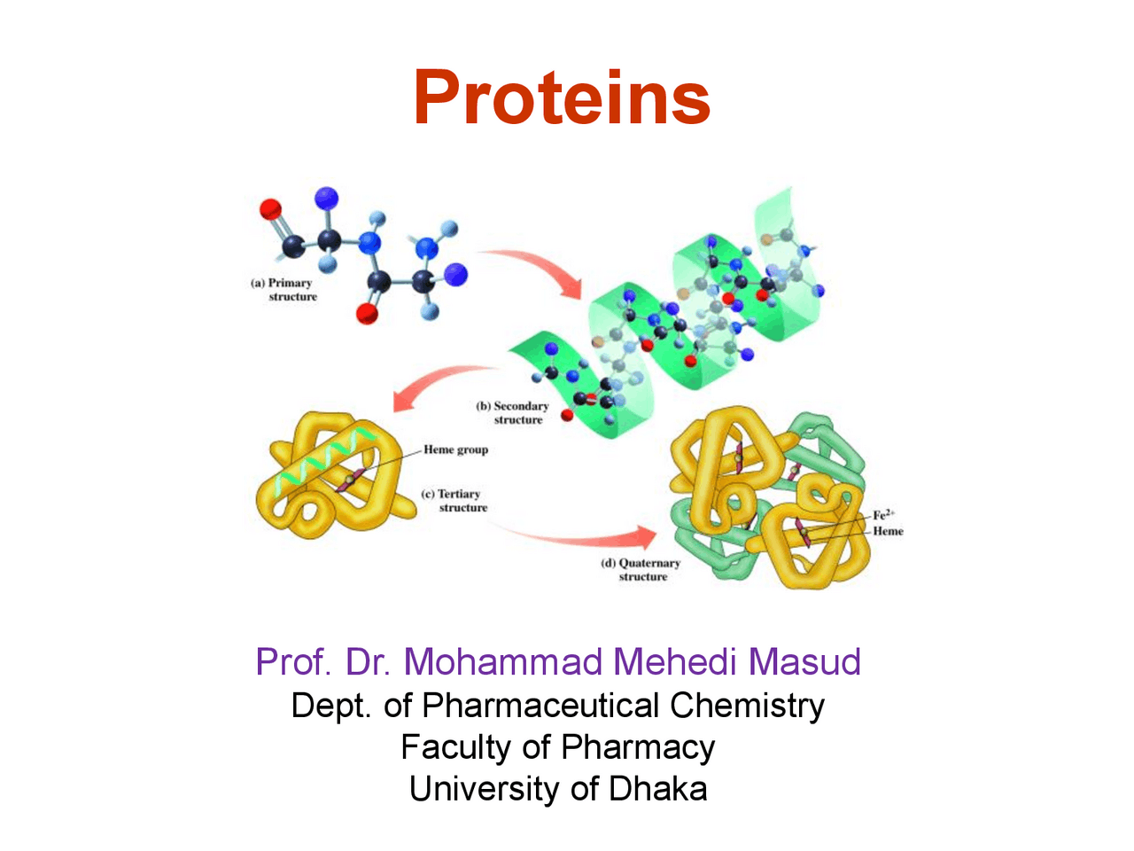 Protein and its biochemistry | Slides Biochemistry | Docsity