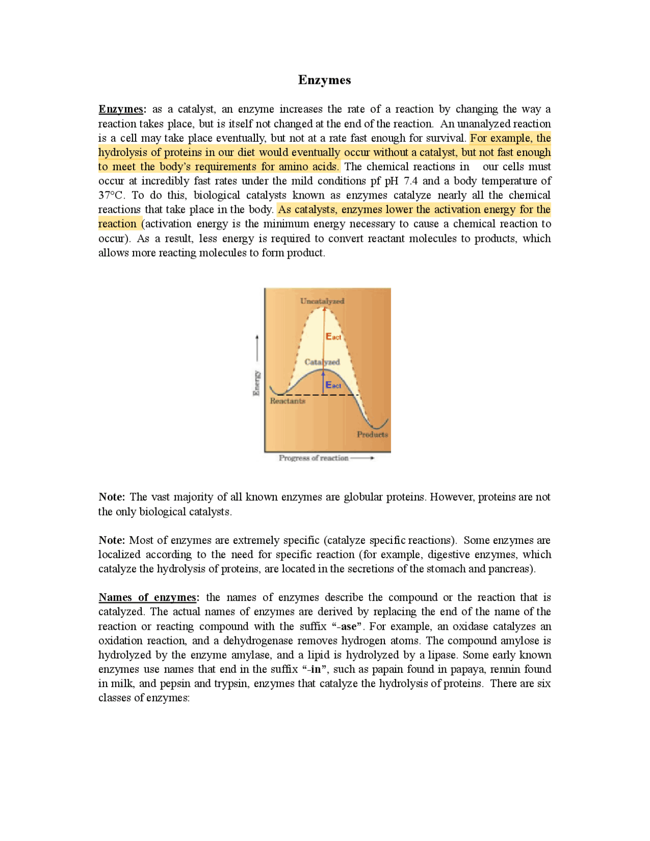 Enzymes Biochemistry Handout Lecture Notes Biochemistry Docsity