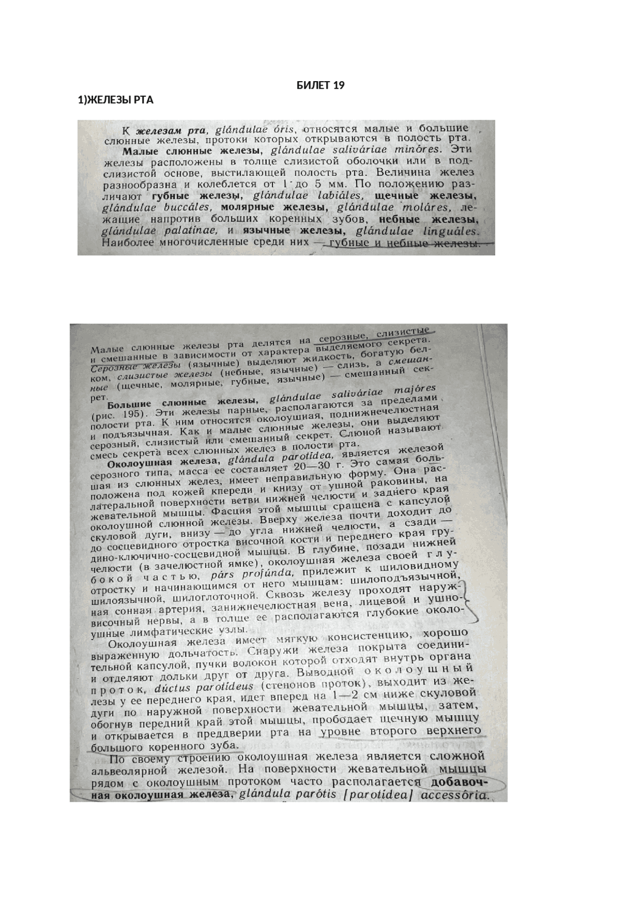 Это билет по экзамену анатка Схемы Нормальная анатомия Docsity