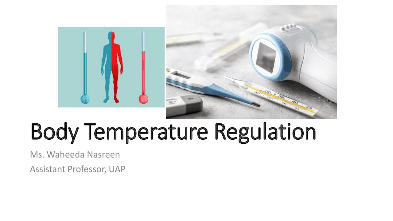 What Is The Normal Body Temperature Range? Know Here!, 50% OFF