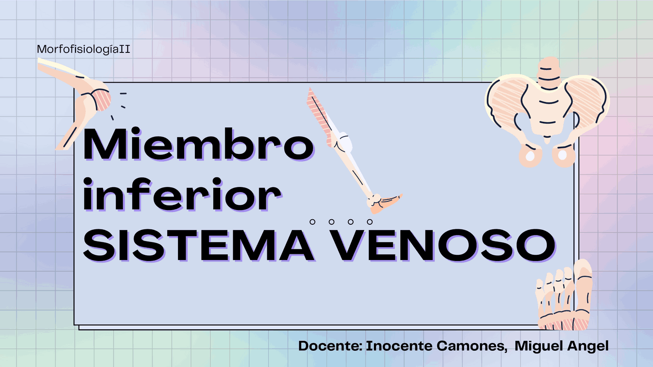 Sistema venoso- irrigación | Esquemas y mapas conceptuales de ...