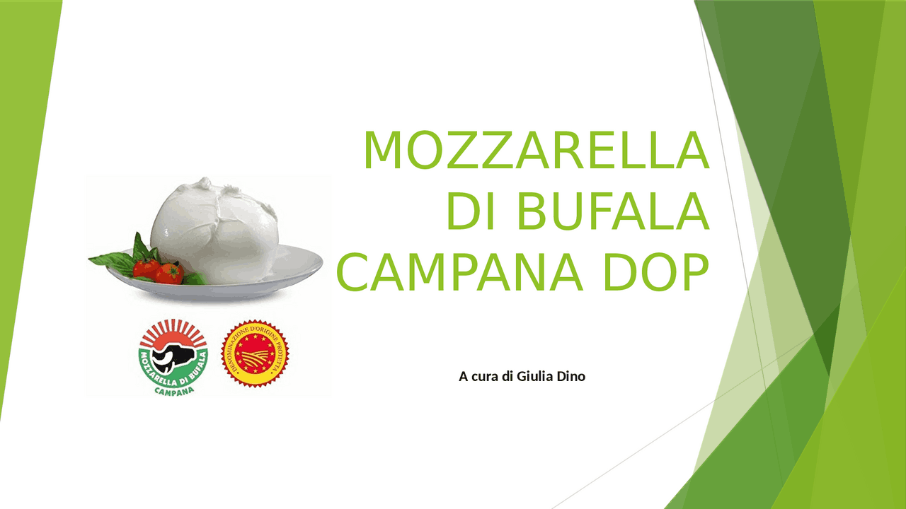 Master Italia USA - Project work ICE "Mozzarella di Bufala Campana DOP ...