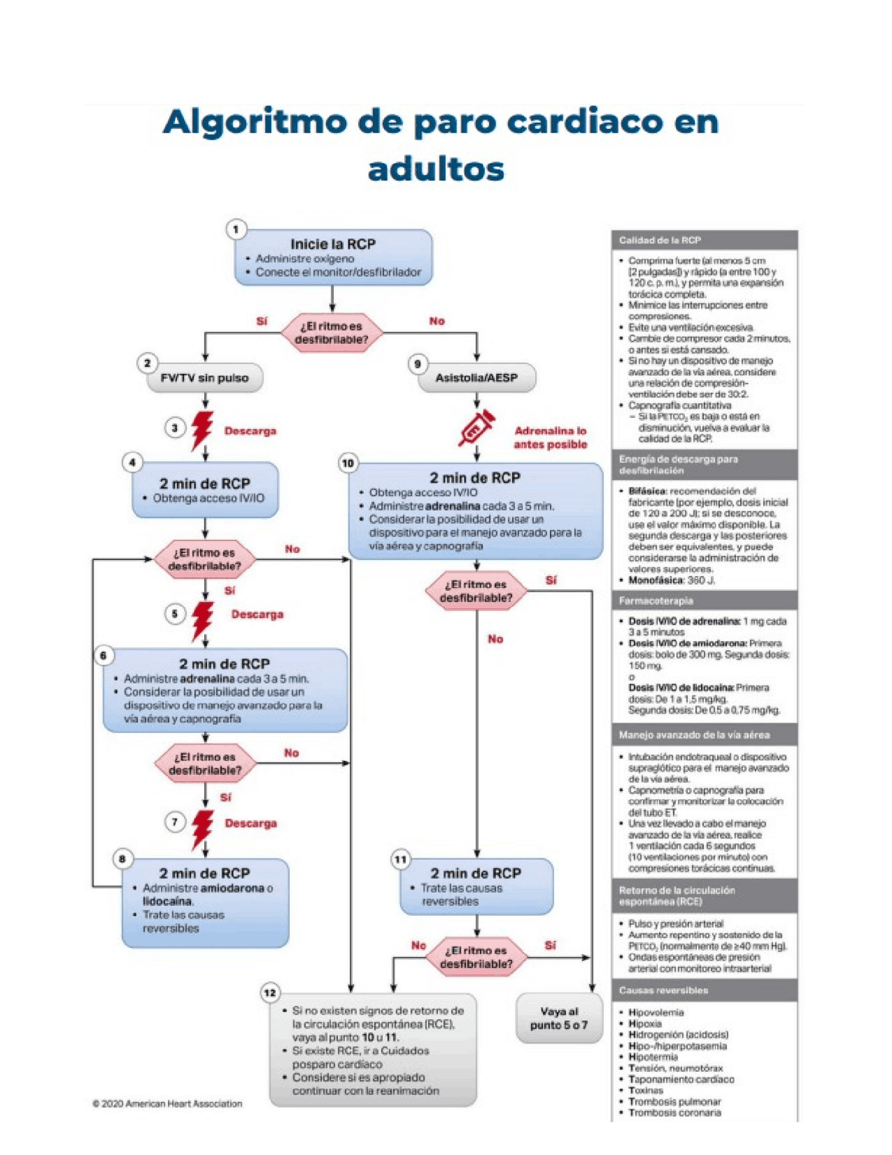 Algoritmos AHA 2020 cardiología | Guías, Proyectos, Investigaciones de ...