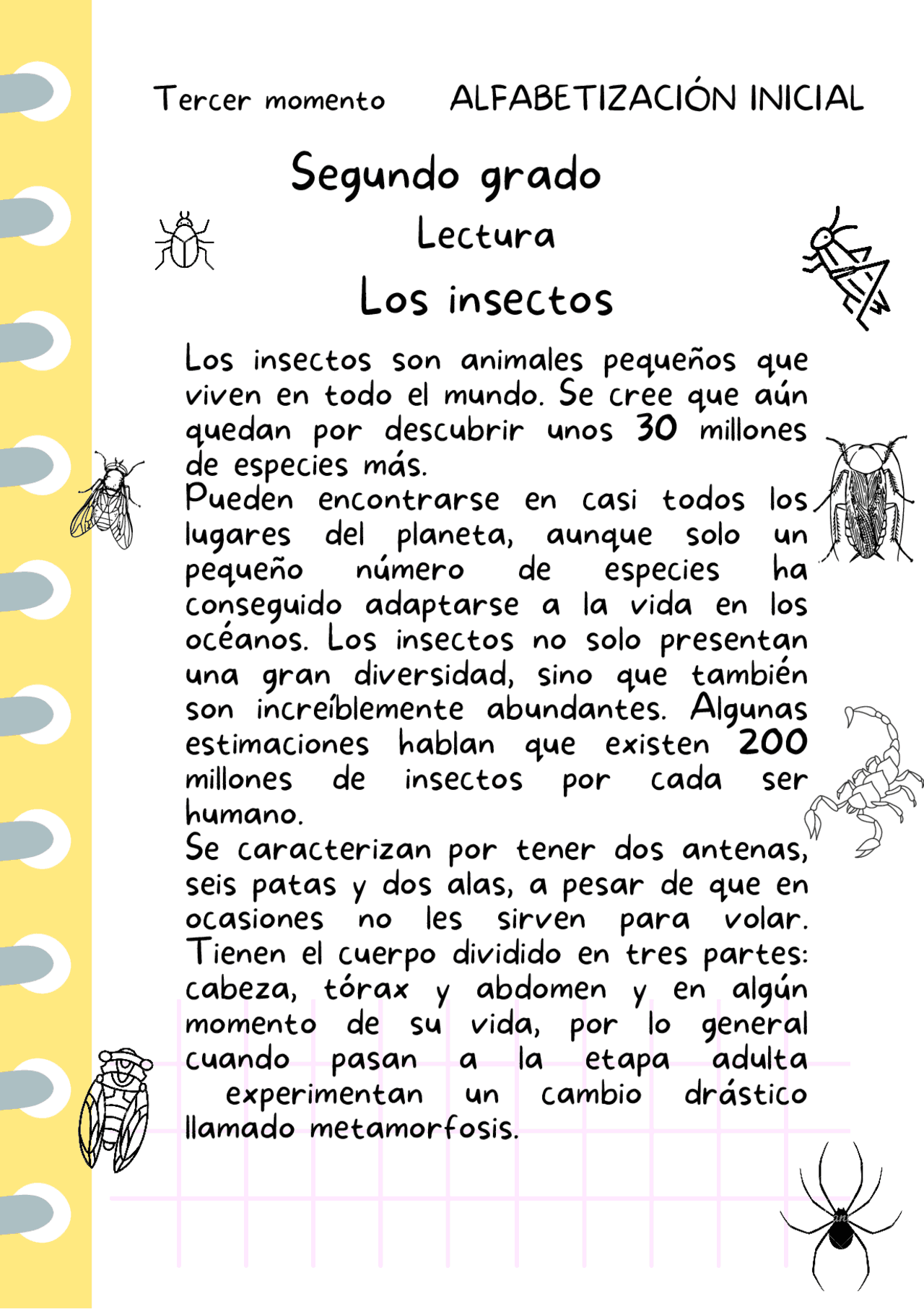 PATRON SILABICO PARA DICTAR EN PRIMER GRADO | Ejercicios de Idioma ...