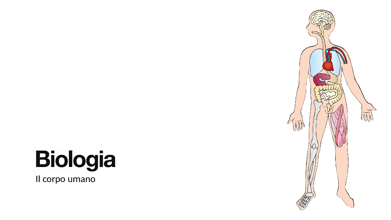 Immagini Biologia Corpo Umano
