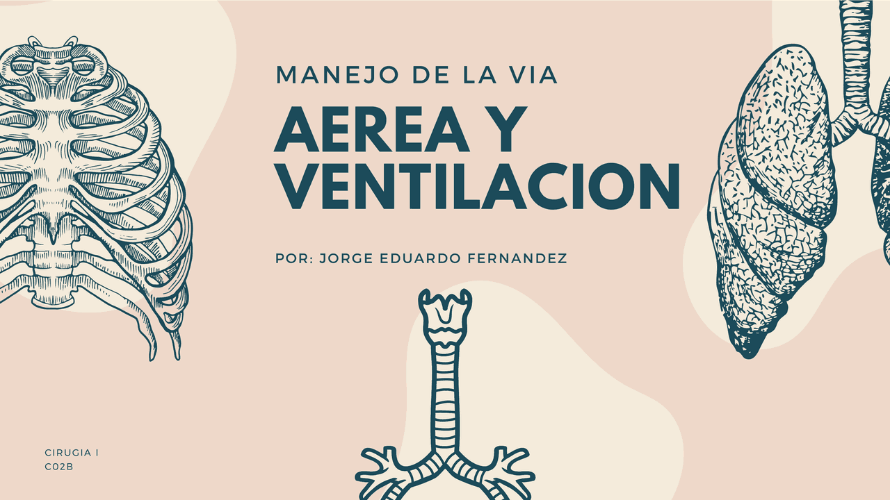 Manejo Inicial De La Vía Aérea Resumos De Cirurgia Geral Docsity