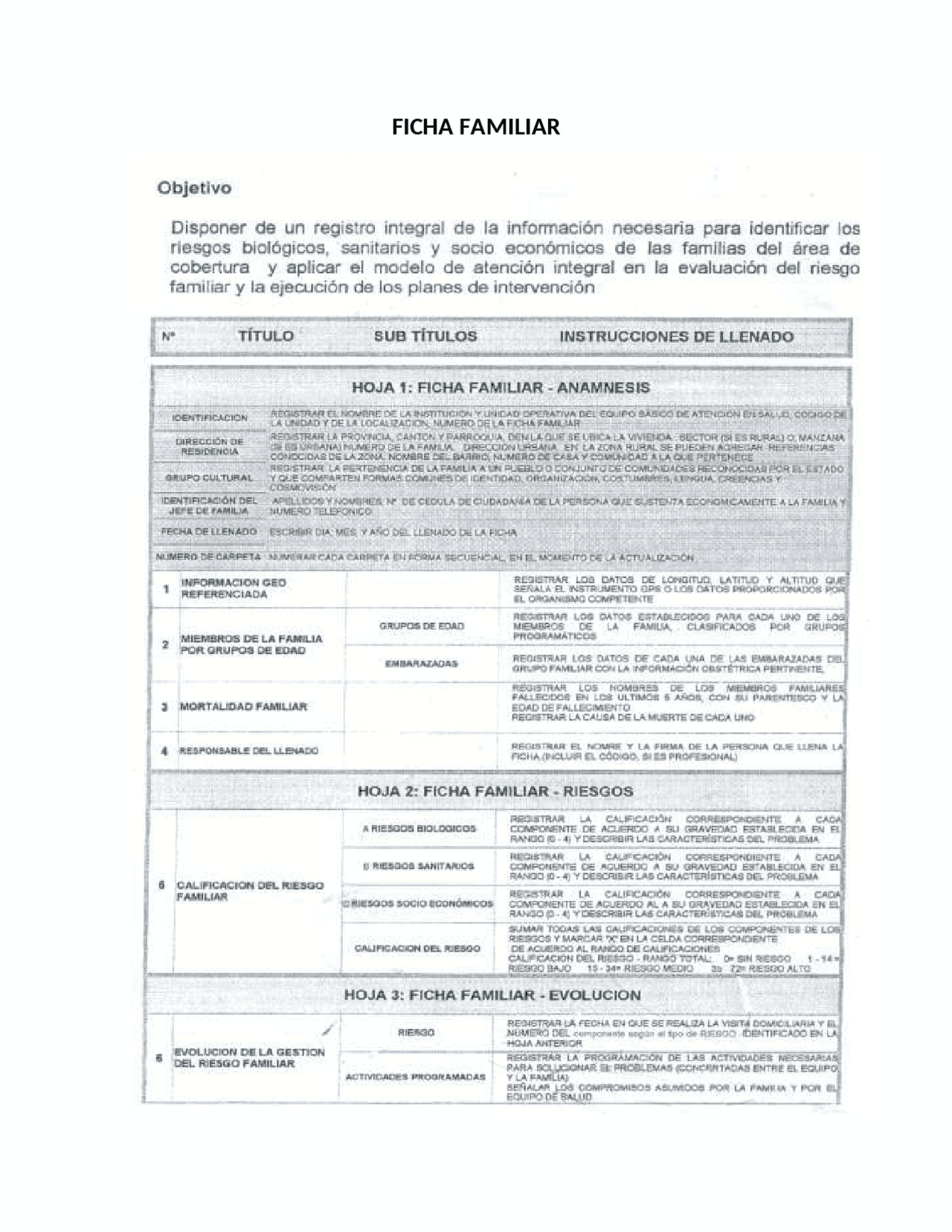 FICHA FAMILIAR MSP Y APGAR FAMILIAR | Apuntes de Salud Pública | Docsity