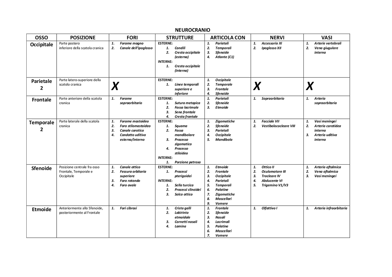 Neurocranio e splancnocranio | Schemi e mappe concettuali di Anatomia I | Docsity