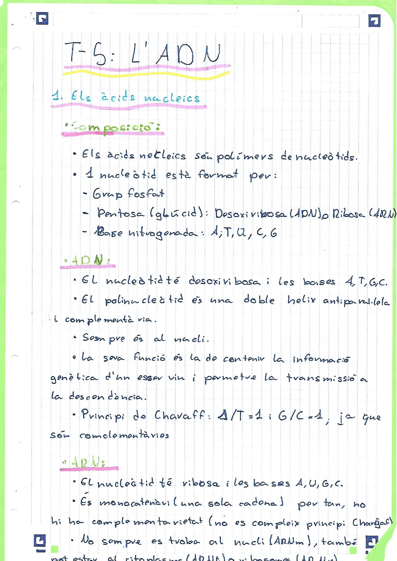 Apunts De Ladn 1r Batx Docsity