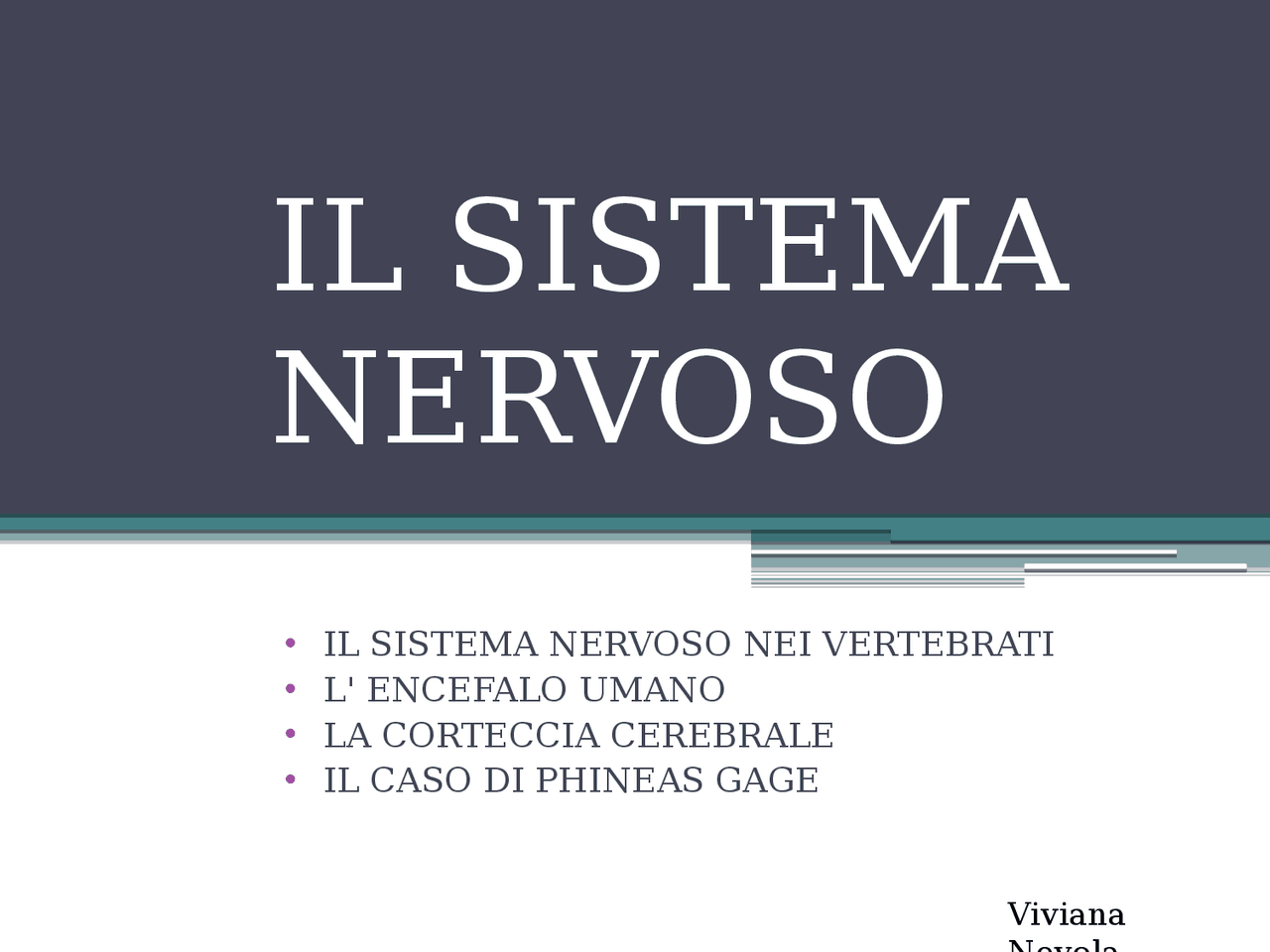 Power Point Sul Sistema Nervoso Schemi E Mappe Concettuali Di
