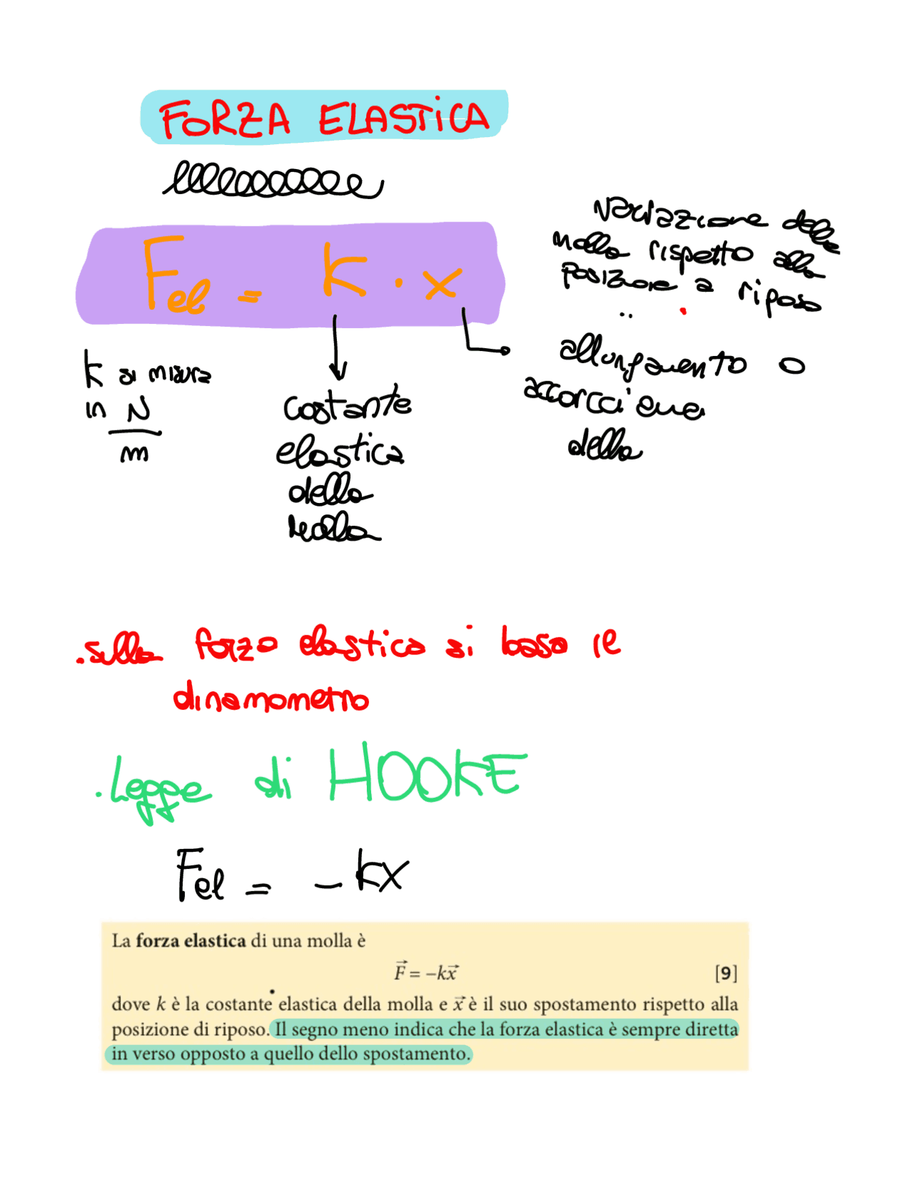 FORZA ELASTICA, TUTTO QUELLO CHE DEVI SAPERE | Schemi e mappe ...