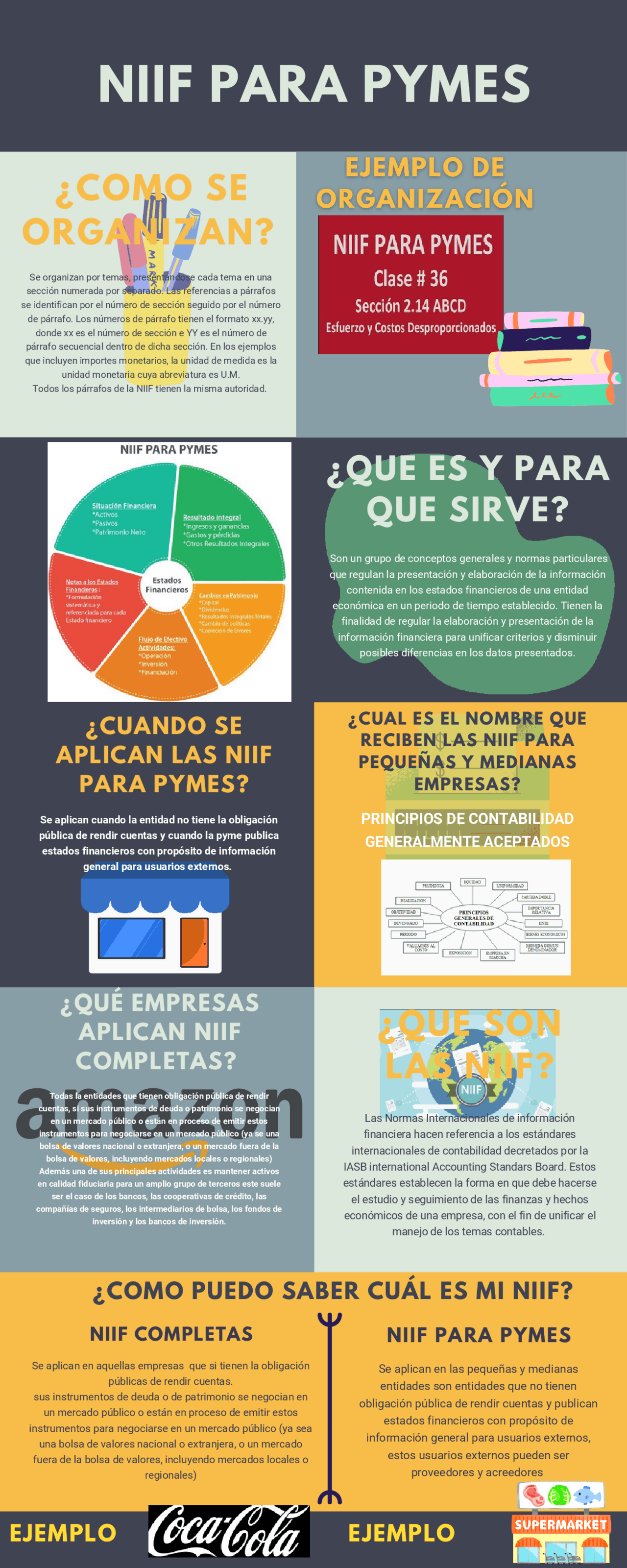 INFOGRAFIA SOBRE LAS NIIF PARA PYMES | Esquemas y mapas conceptuales de Microfinanzas | Docsity