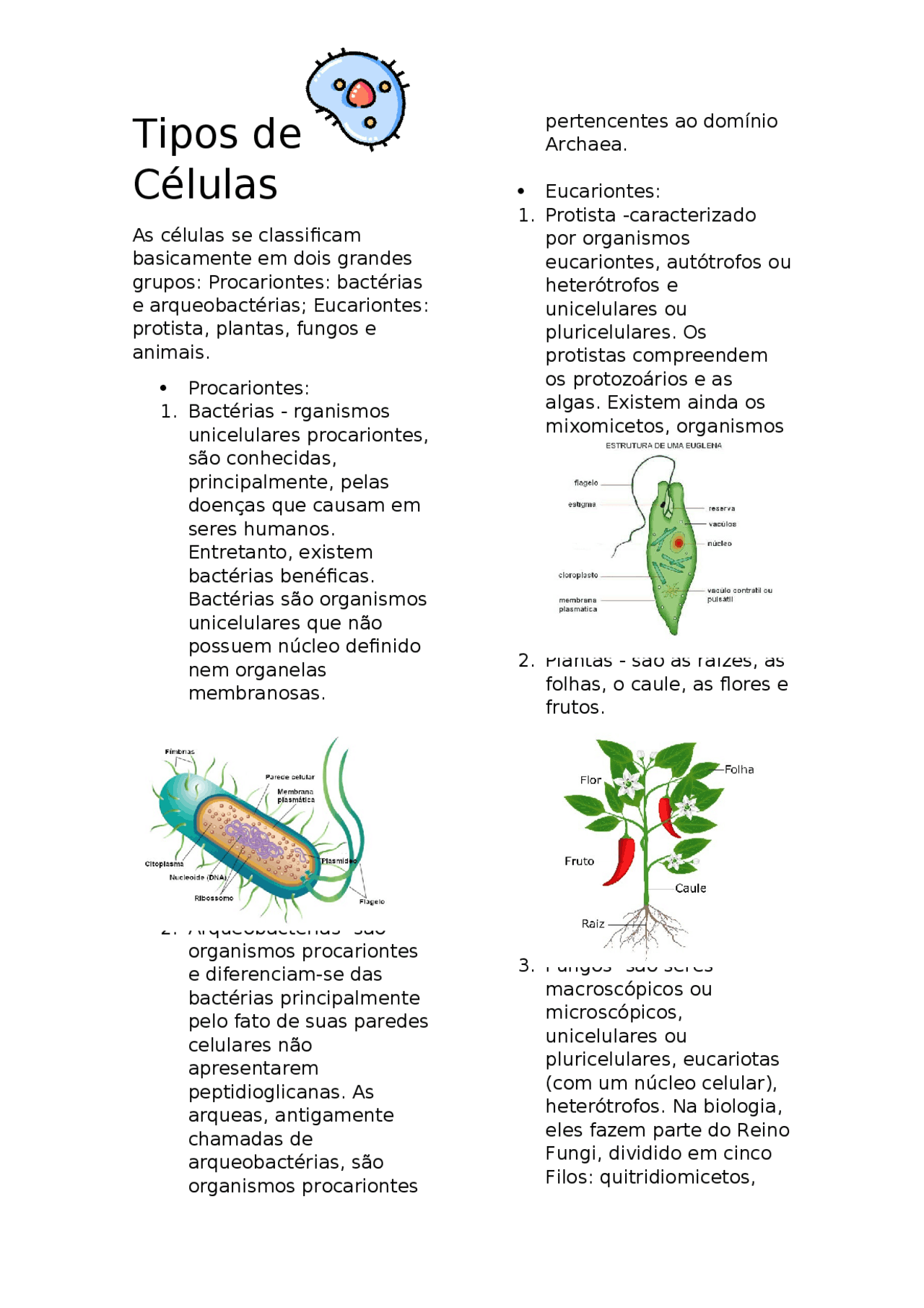 Biologia: Tipos de Células | Resumos Biologia | Docsity