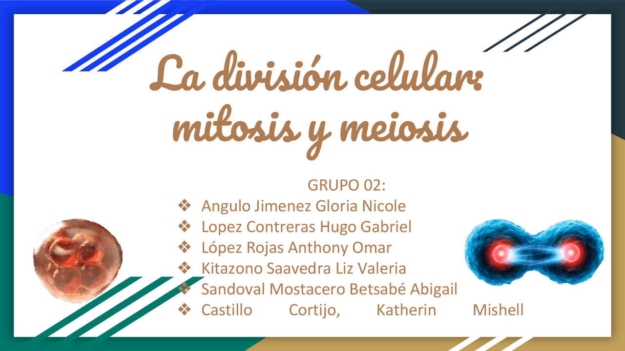 DIVISION CELULAR MITOSIS Y MEIOSIS | Esquemas y mapas conceptuales de ...