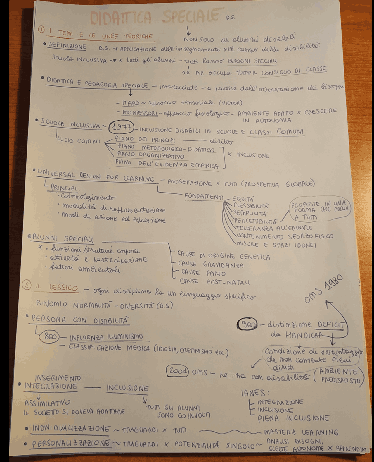 Didattica speciale riassunto con temi principali evidenti | Schemi e ...