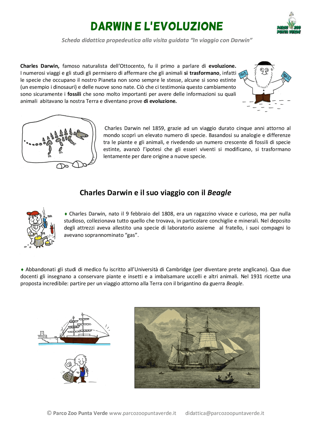 Schema sulla parte di Darwin e l'evoluzione per la scuola primaria ...