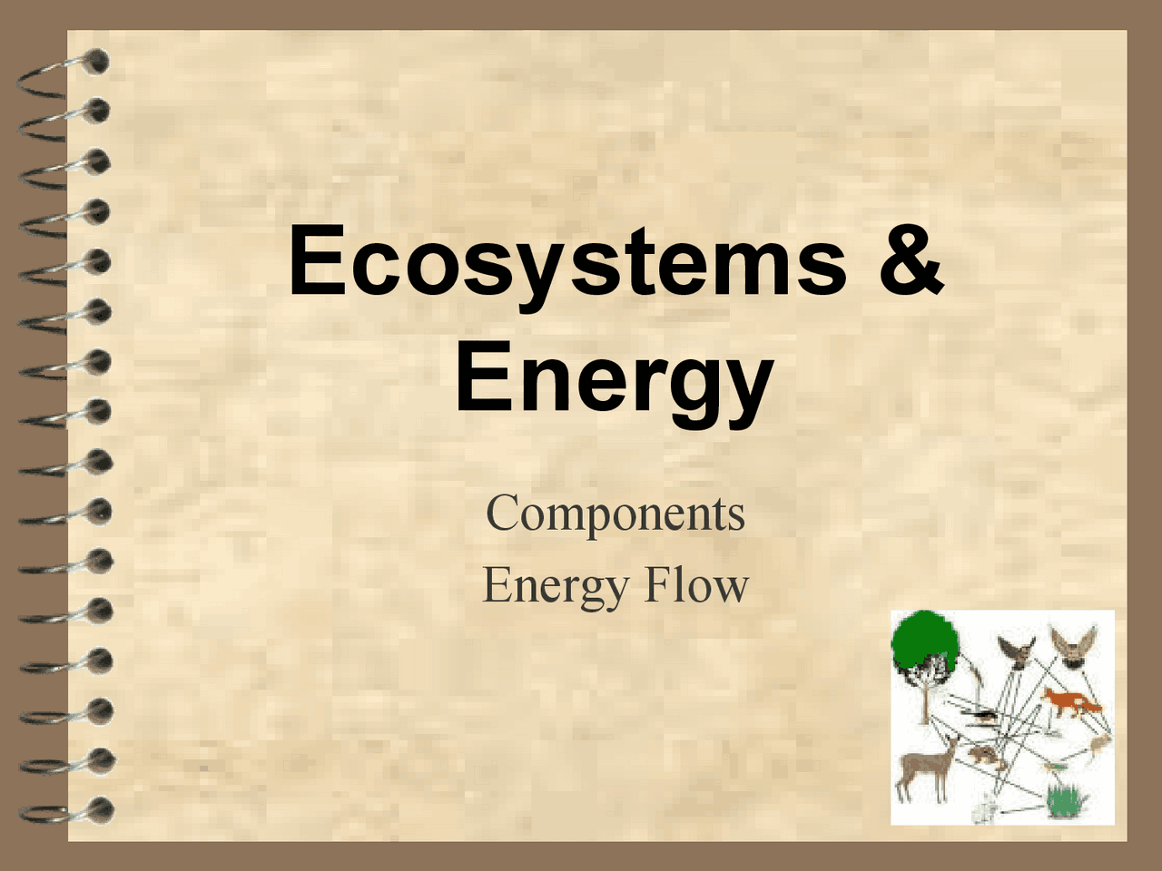 U1 apes ecosystems and energy - Docsity