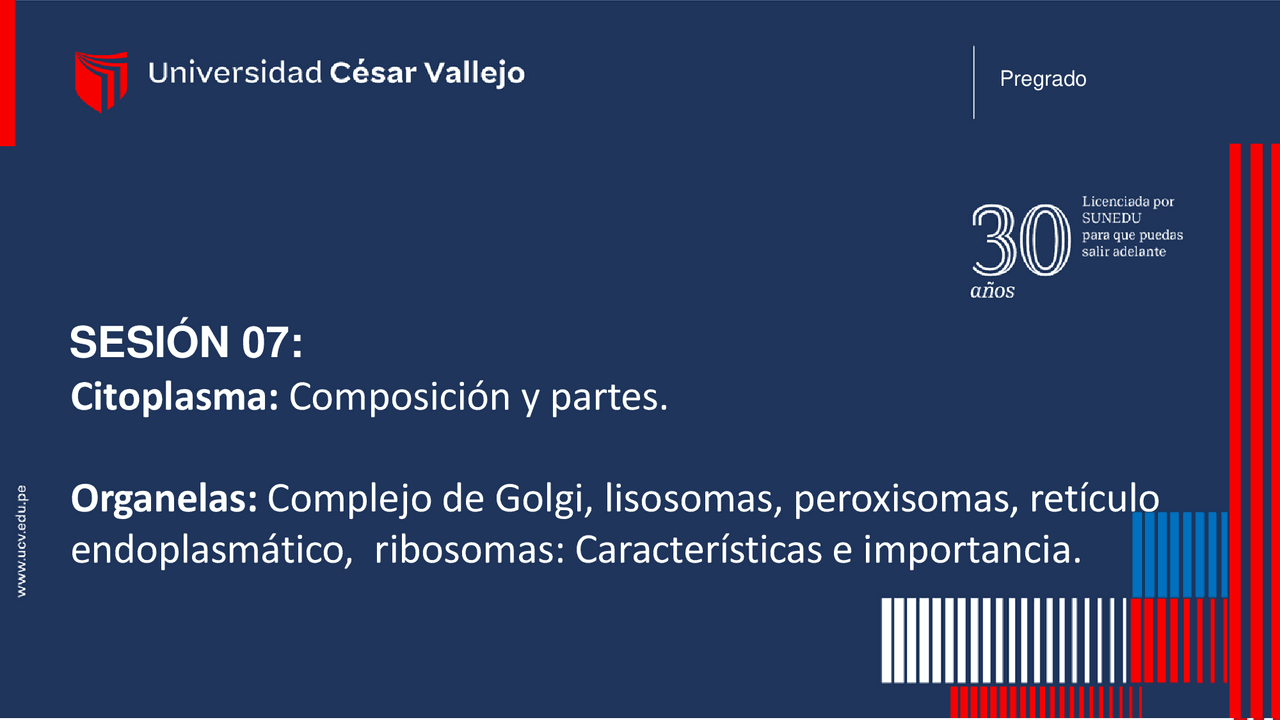 Biologia Celular Y Molecular Docsity