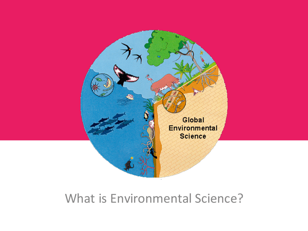 Intro To Environmental Science Docsity