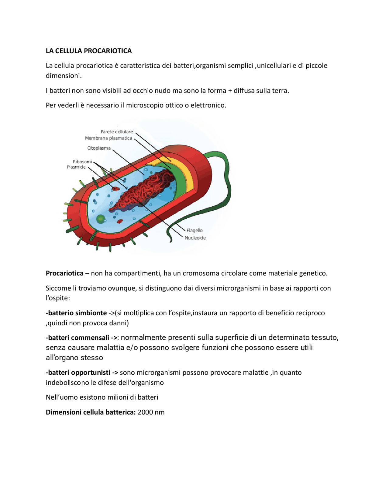 La cellula procariotica e la sua classificazione | Appunti di Biologia | Docsity