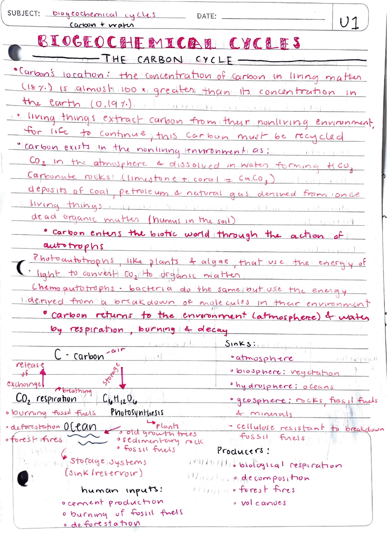APES notes 2.1 & 2.2 | Study notes Environmental science | Docsity