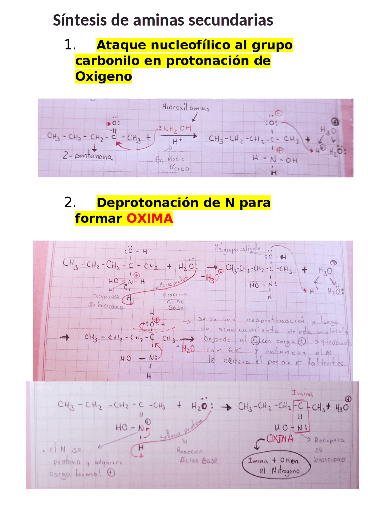 Sintesis de aminas secundarias | Esquemas y mapas conceptuales de ...