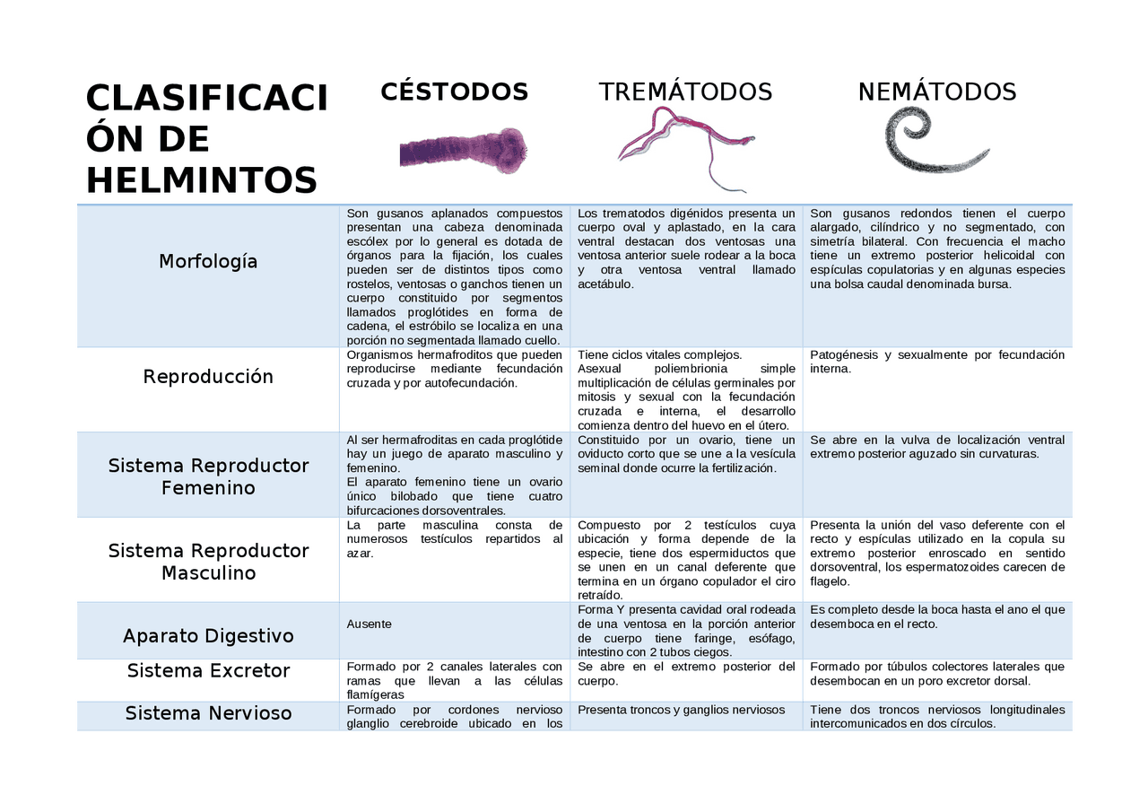 Explicacion de la clasificacion de helmintos | Appunti di ...